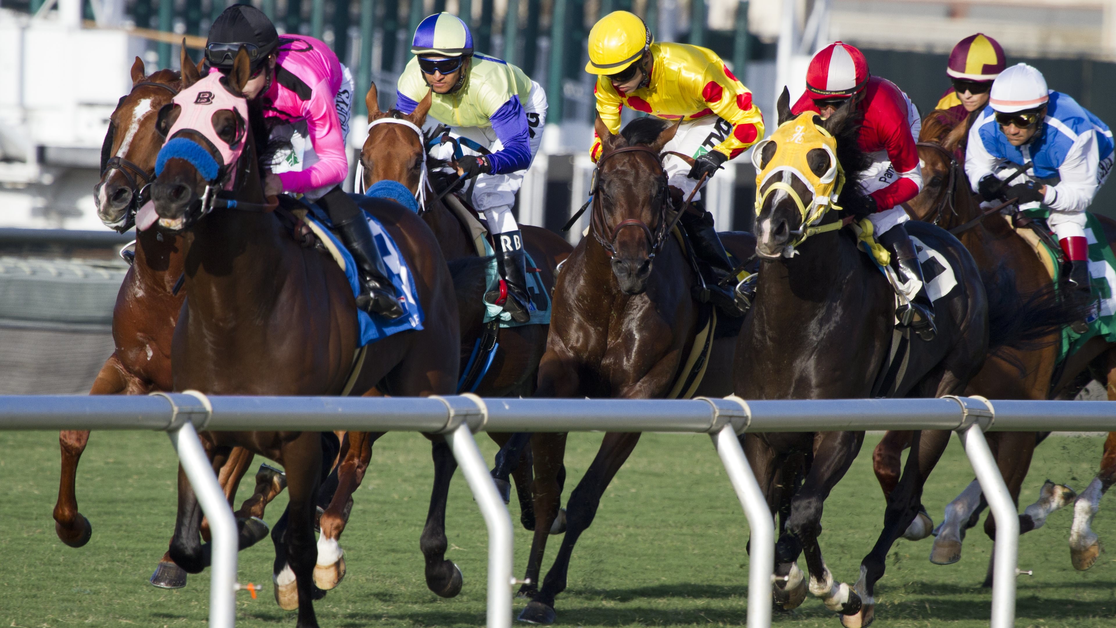 4k Hd Wallpaper - Horse Racing High Res- WallpaperUse