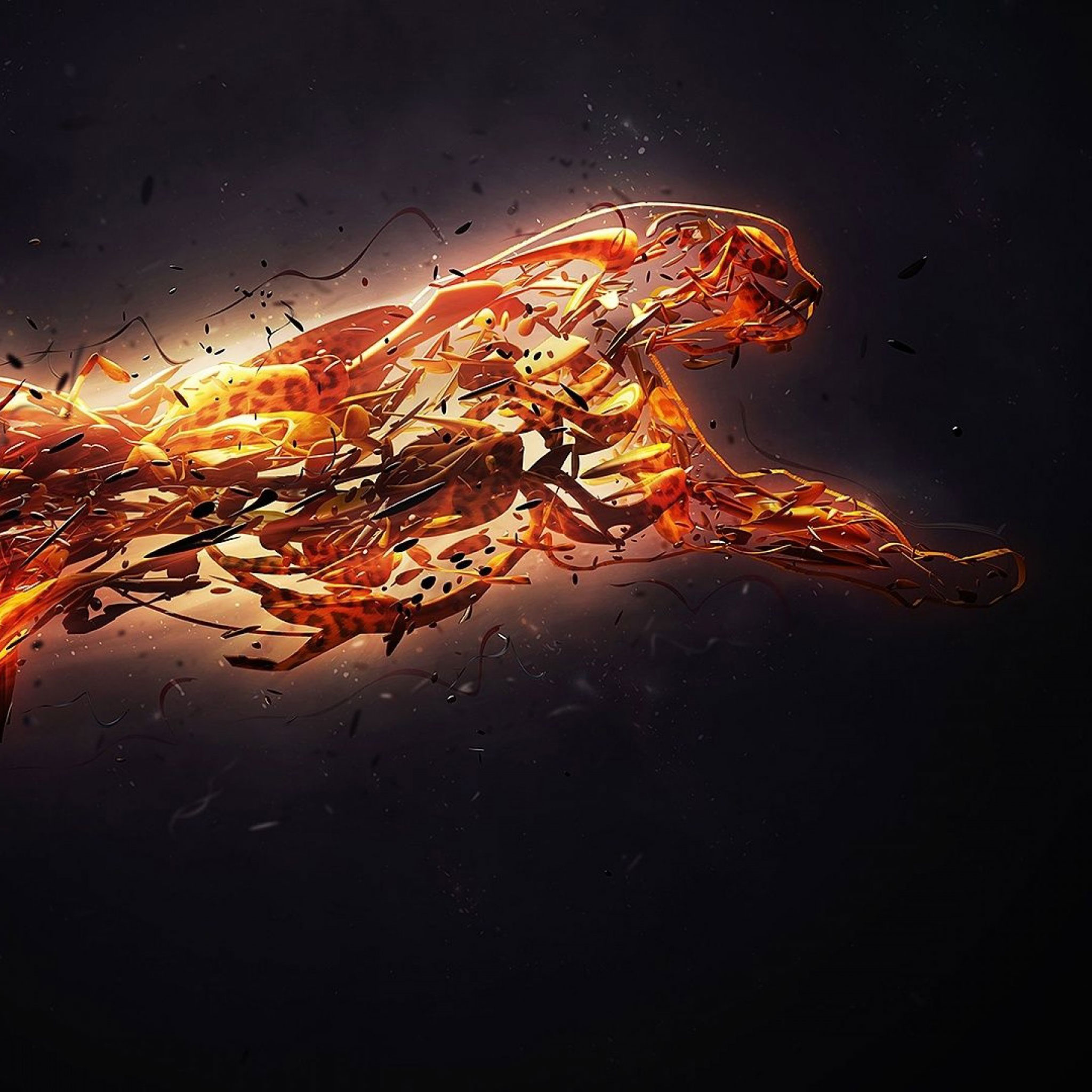 Fire Leopard- WallpaperUse