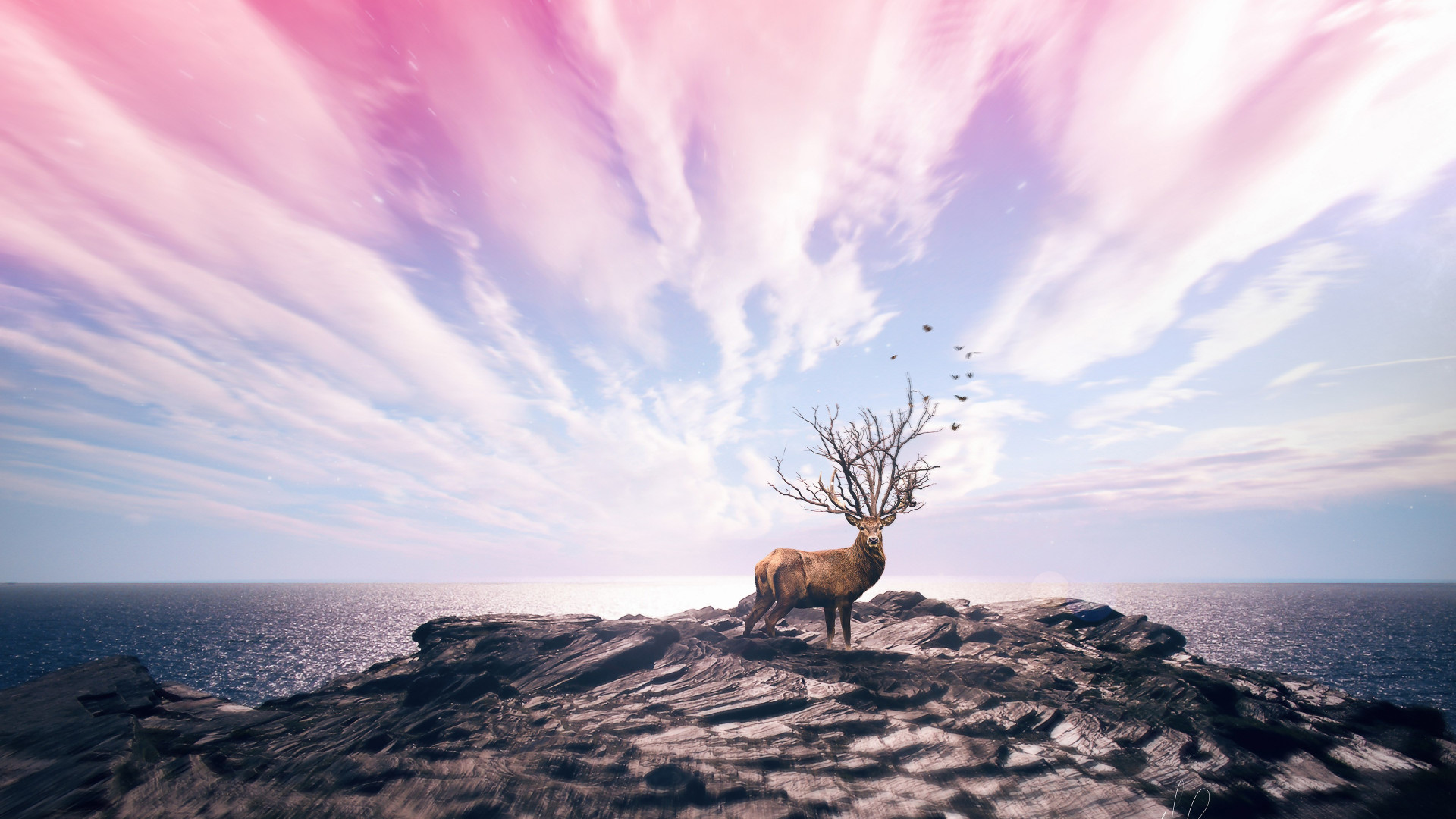 Digital Art With Deer Wallpaper - Nature Wallpaper 4k- WallpaperUse