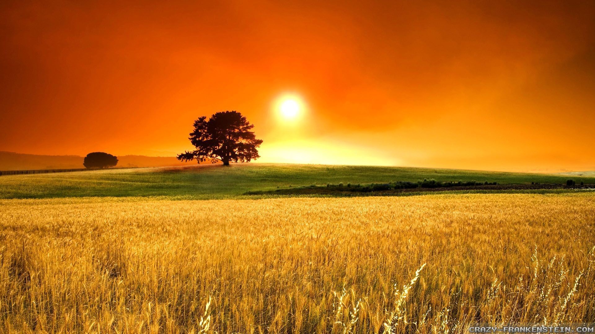 papier peint chaud,paysage naturel,la nature,ciel,champ,prairie ...