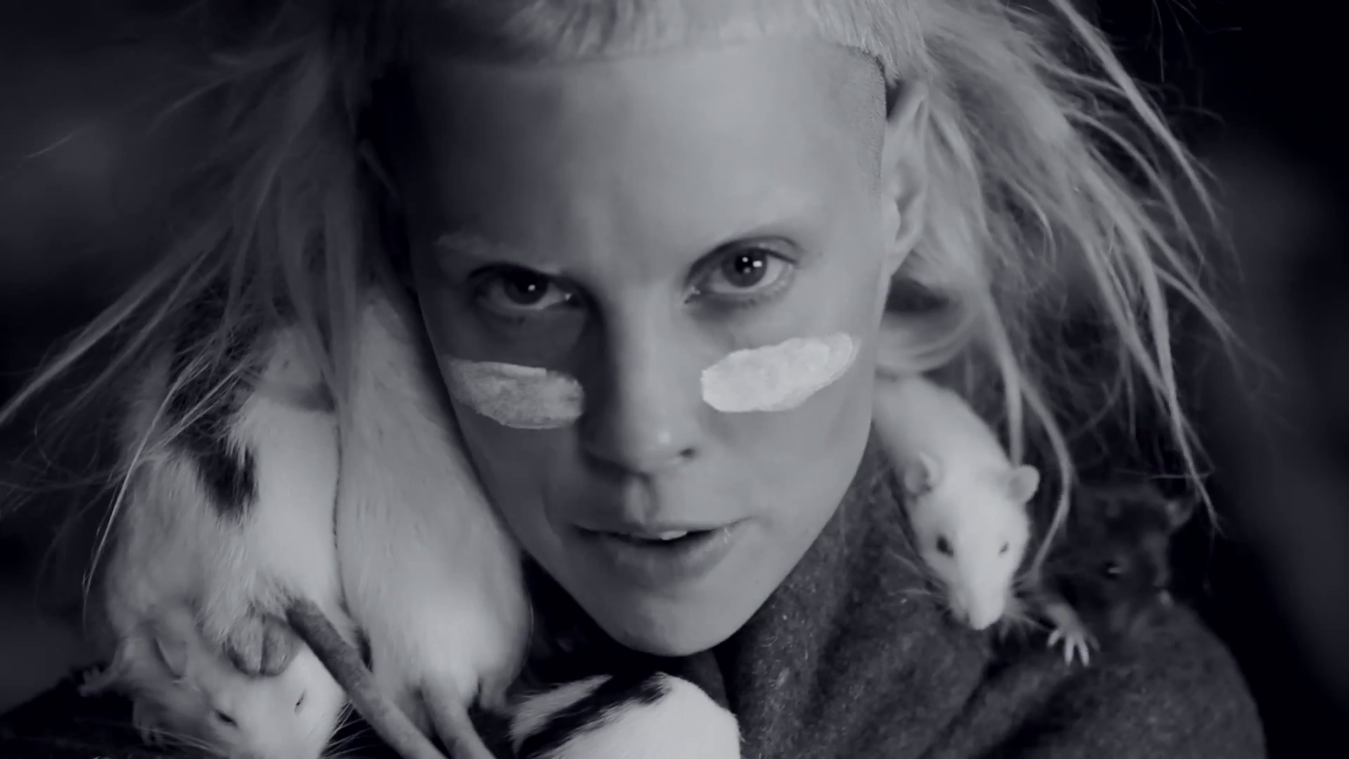 Die Antwoord Monochrome Music