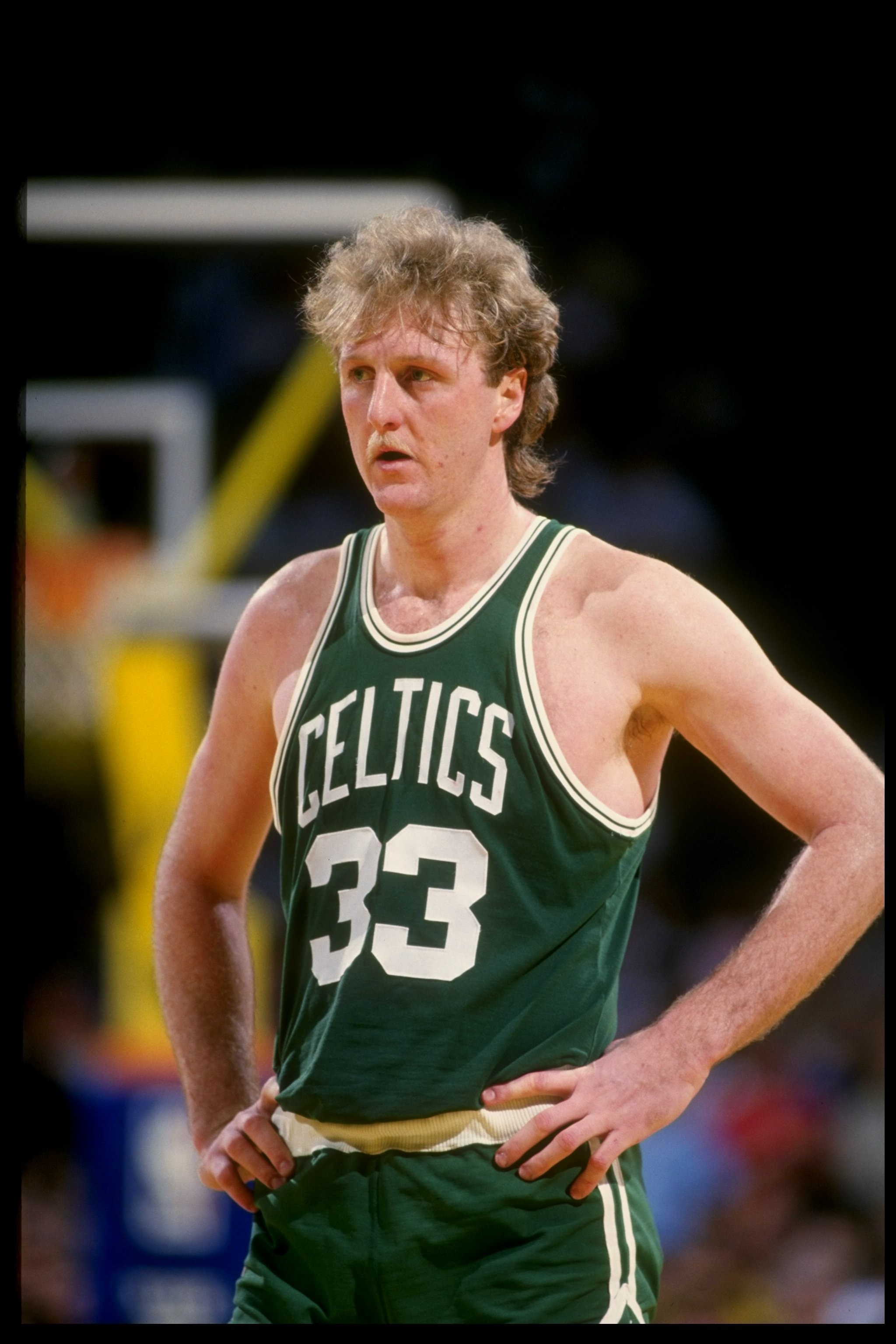 larry bird wallpaper,sports,basketball player,muscle,athlete,player ...