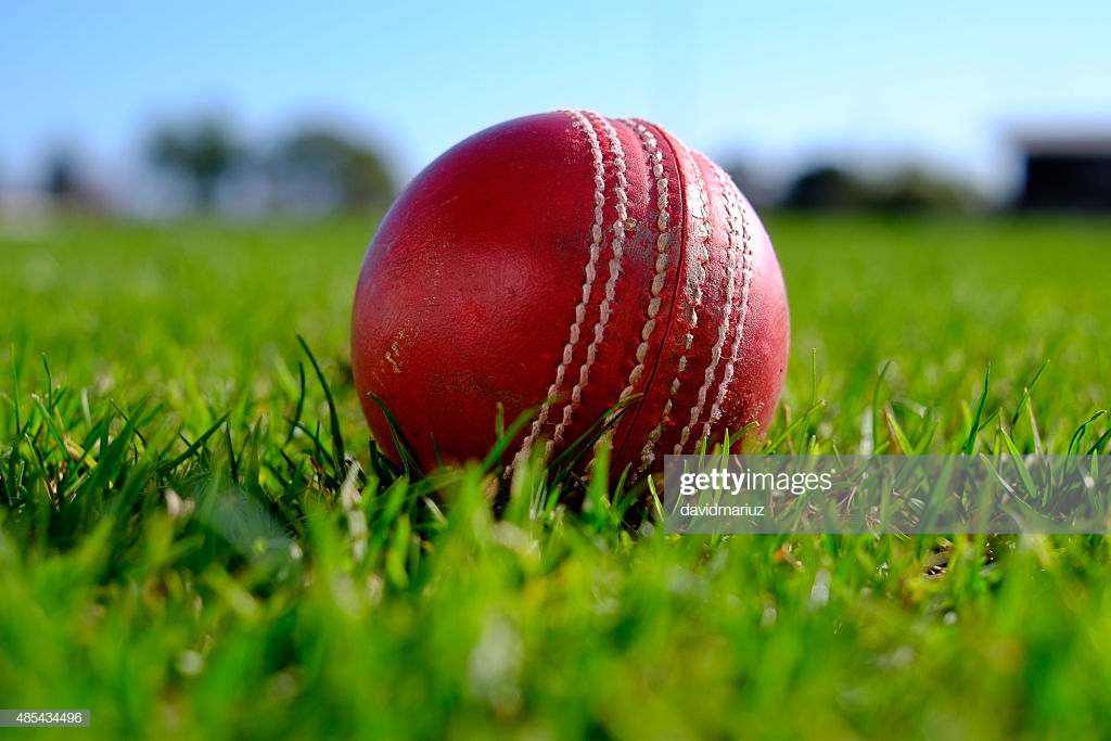 cricket bat wallpaper,ball,grass,cricket ball,cricket,ball game ...