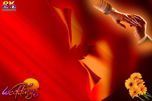 サディの壁紙,オレンジ,架空の人物,グラフィックデザイン,グラフィックス (#464967) - WallpaperUse