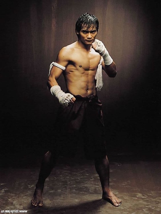 tony jaa wallpaper,barechested,muscle,chest,human,abdomen (#474522 ...
