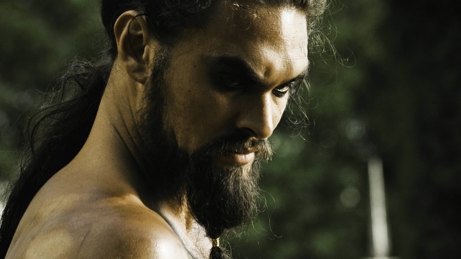 khal drogo fondo de pantalla,cabello,barba,humano,mandíbula,fotografía ...