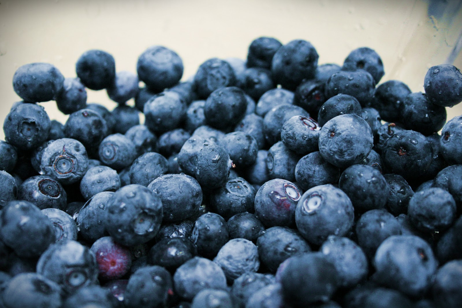 Blueberry Backgrounds - Mirtilo Roxo- WallpaperUse