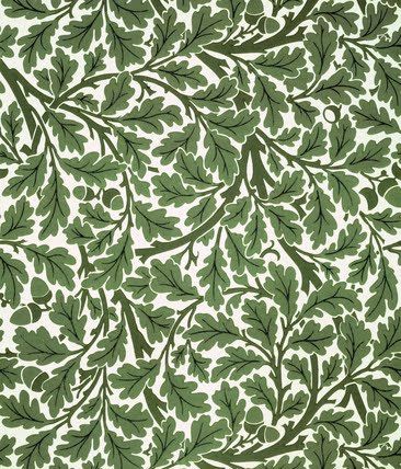 tree print wallpaper,leaf,green,pattern,botany,plant (#482965 ...
