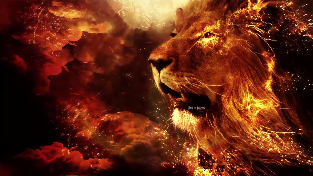 fire lion wallpaper,lion,felidae,wildlife,big cats,organism (#483689 ...