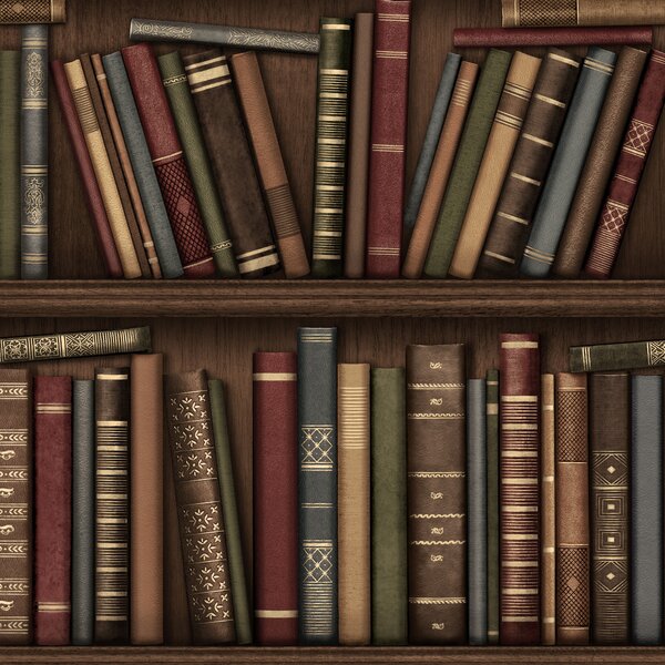 cm security wallpaper,shelf,shelving,bookcase,book,publication (#485802 ...