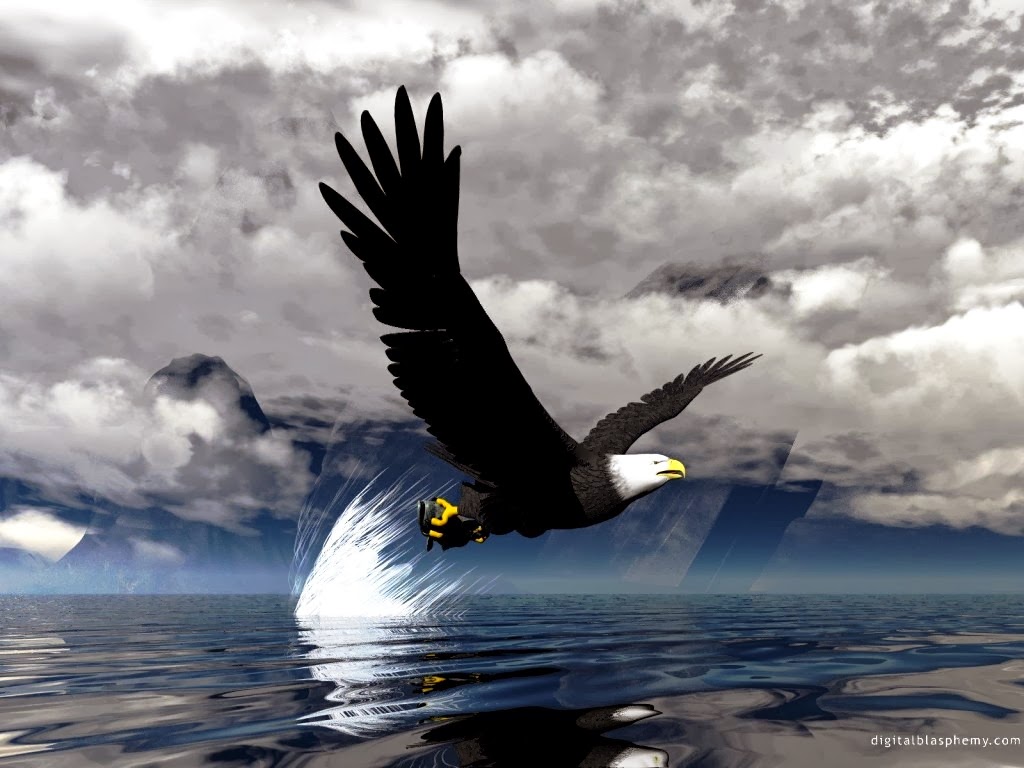 3d Flying Bald Eagle Hd Wallpaper Free - Eagle Top Background- WallpaperUse