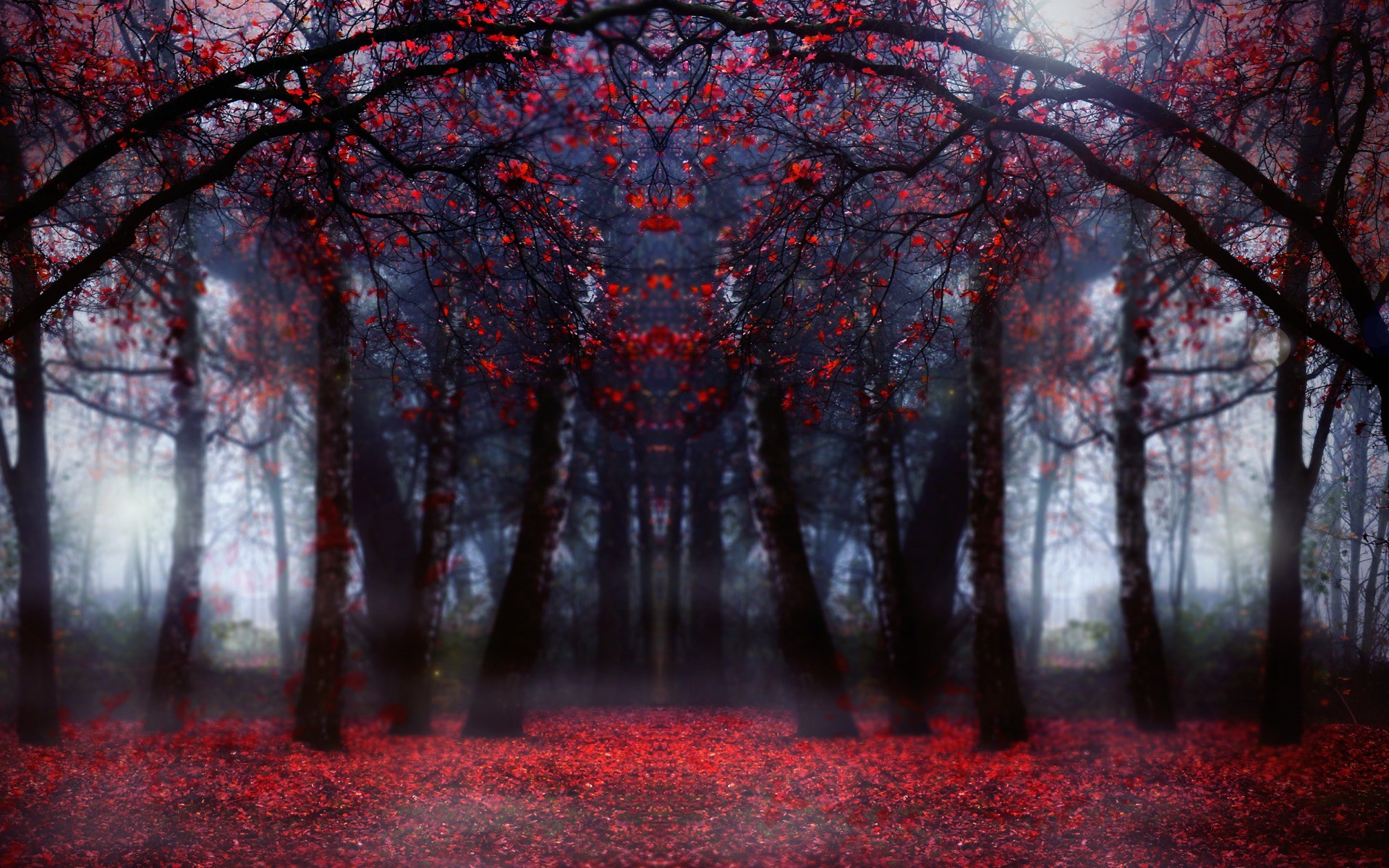 symmetrical wallpaper,tree,nature,red,natural landscape,natural ...
