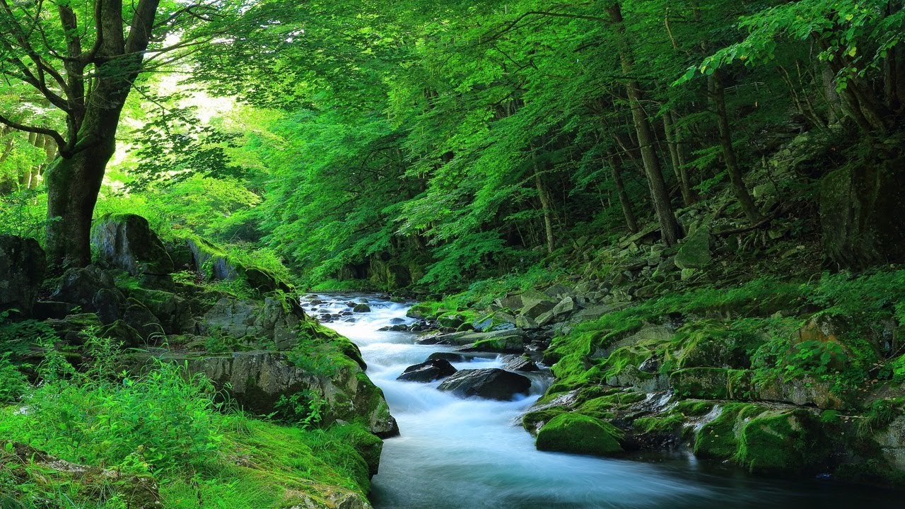 nechral wallpaper,natural landscape,nature,body of water,stream ...