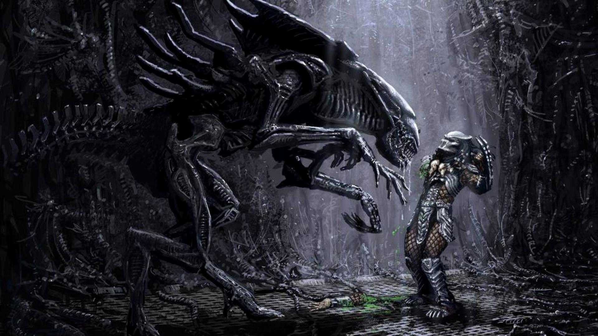 Alien Vs Predator Wallpaper Hd- WallpaperUse