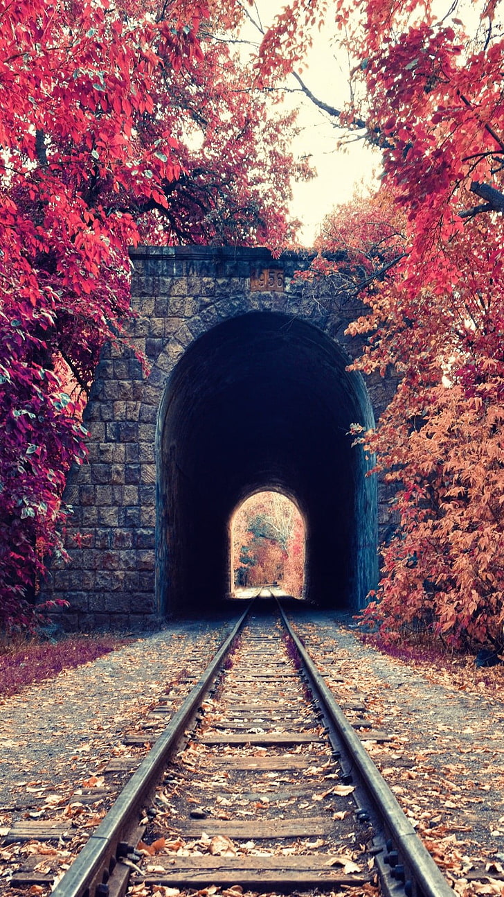 Black Concrete Tunnel, Portrait Display, Nature, Trees, - Train Patri ...