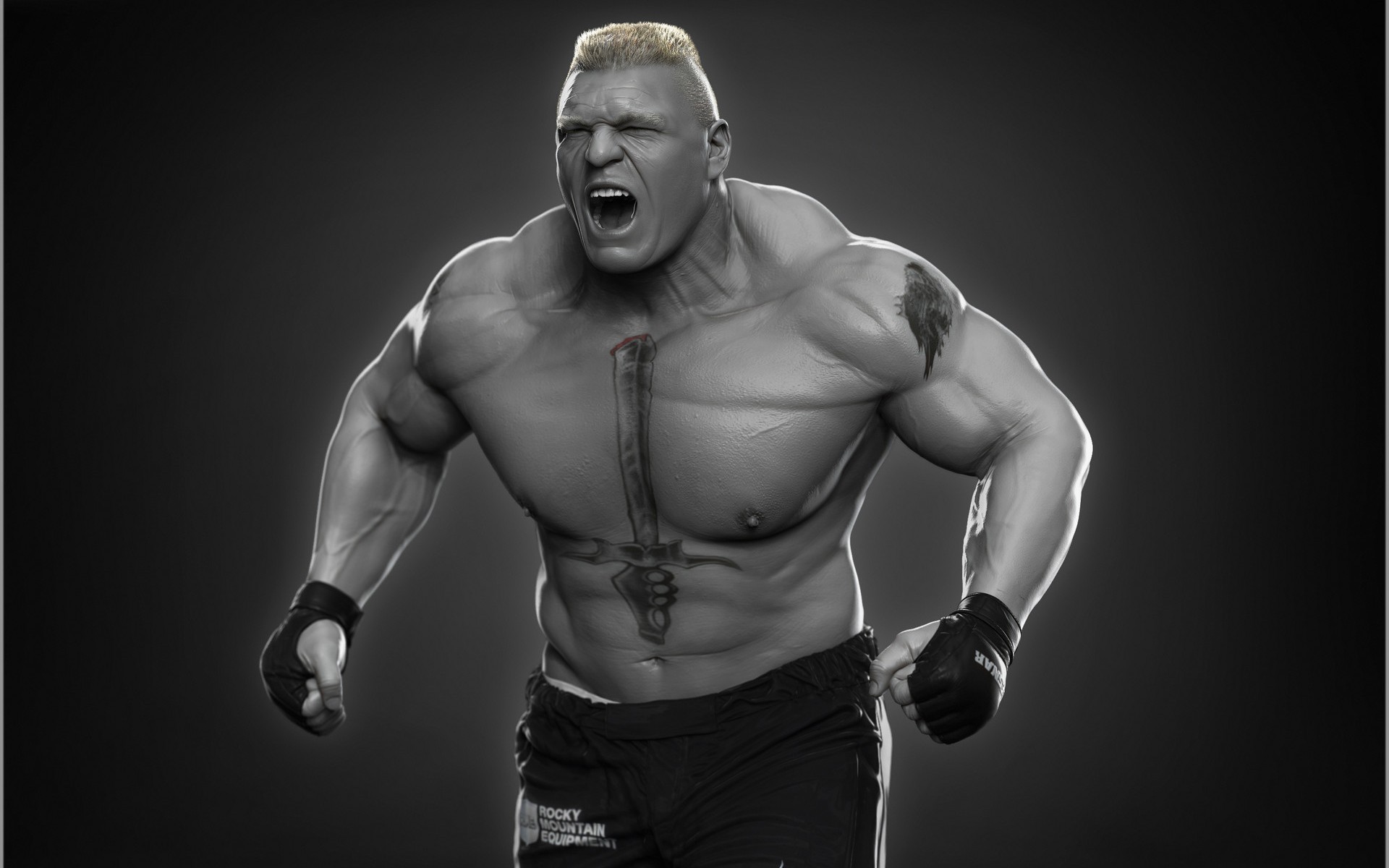 wwe wallpaper,ohne brust,bodybuilding,bodybuilder,truhe,ringer (#59321 ...