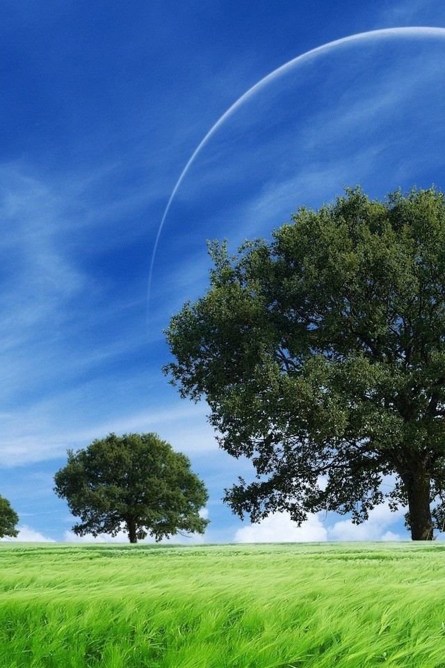 breeze wallpaper,natural landscape,sky,nature,grassland,green (#500504 ...