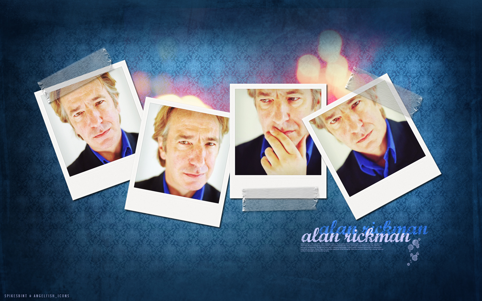 sfondo di alan ricky,fotografia,istantanea,fotografia,stock photography ...