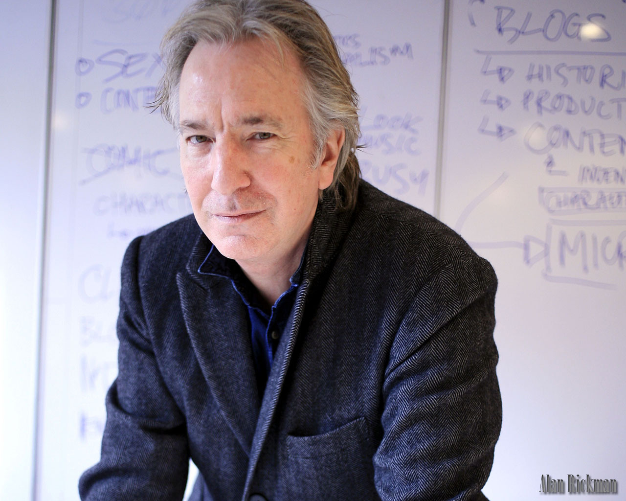 alan rickman wallpaper,white collar worker (#505801) - WallpaperUse