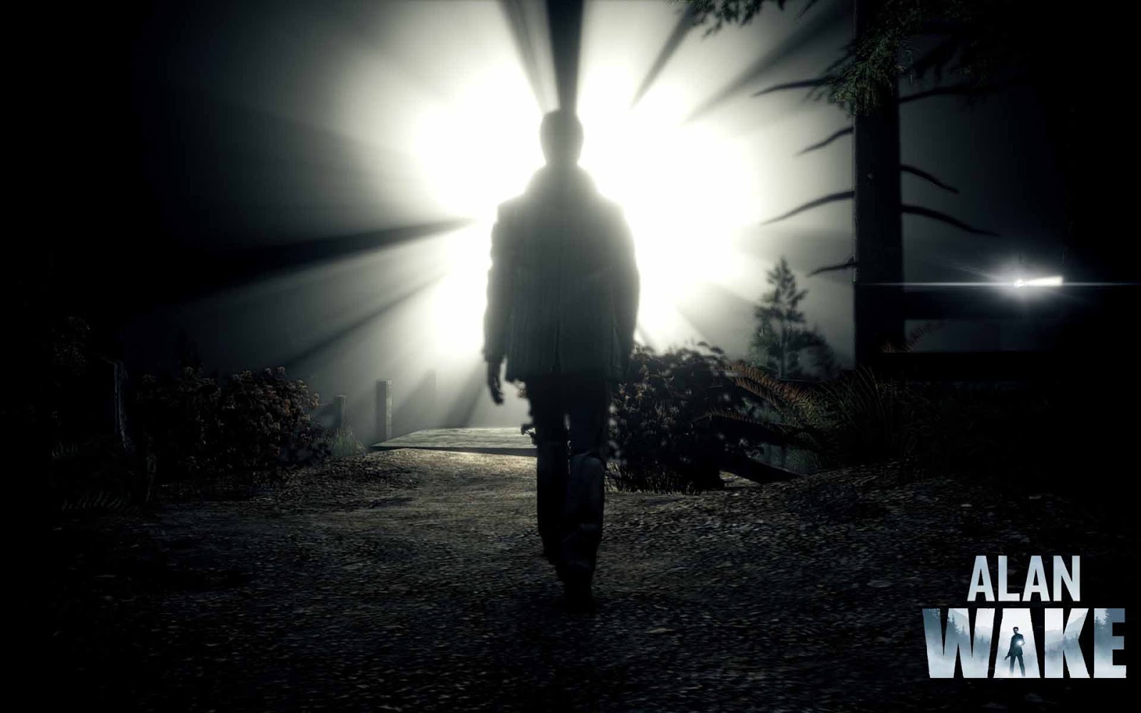 alan wake wallpaper,darkness,light,atmospheric phenomenon,sky,tree ...