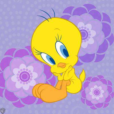 Tweety Bird And Flowers- WallpaperUse