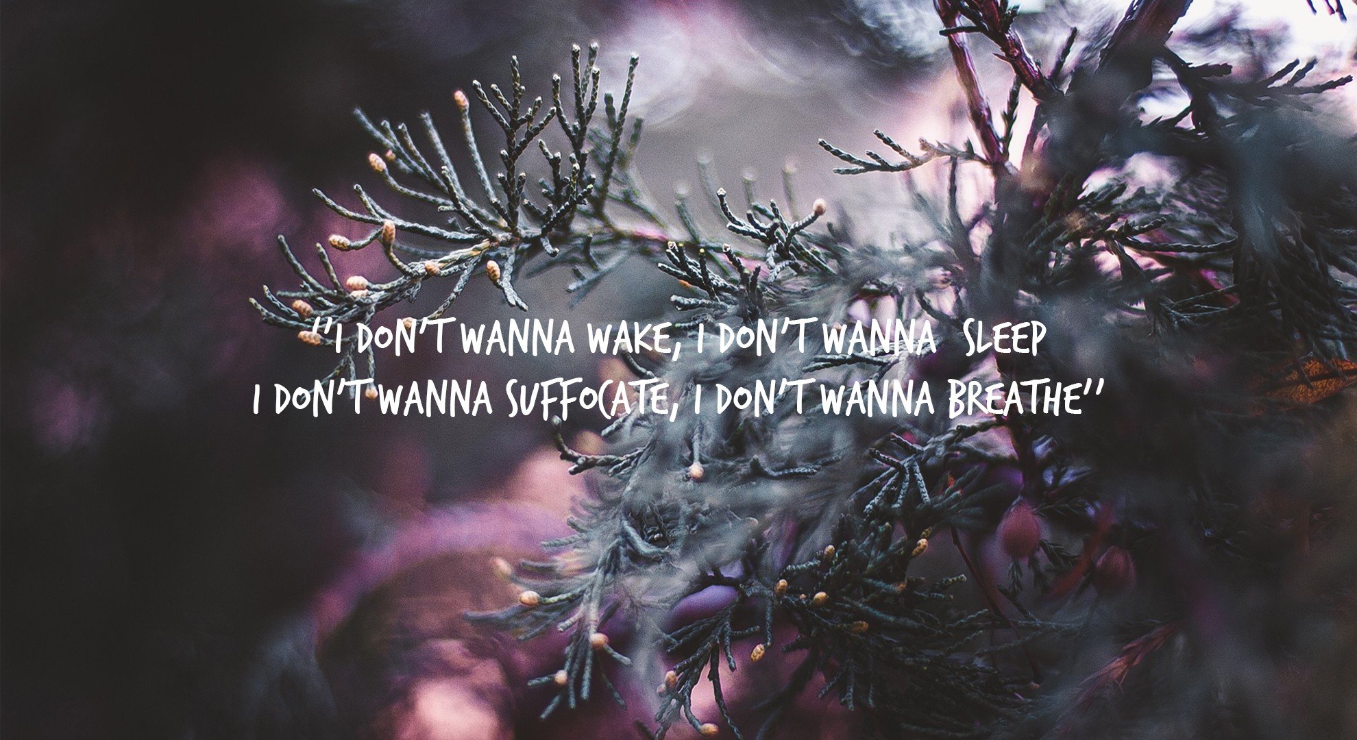 Quotes With Forest Background- WallpaperUse