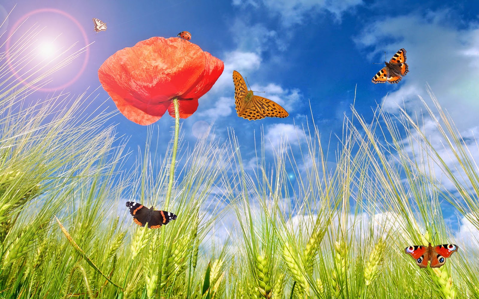 Vizatim Stina E Pranveres- WallpaperUse