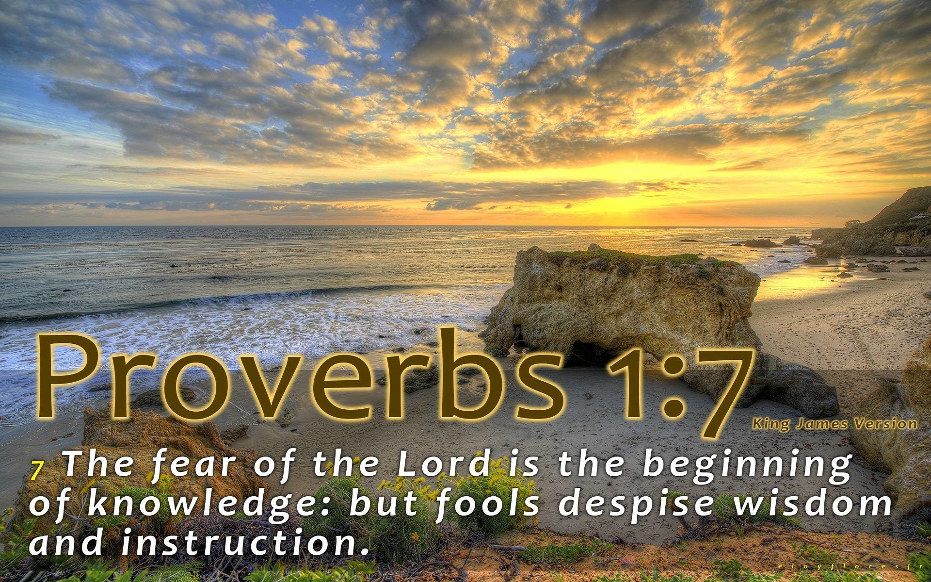 Quotes For > Proverbs Wallpaper Data Src Vertical - Bible Verse ...