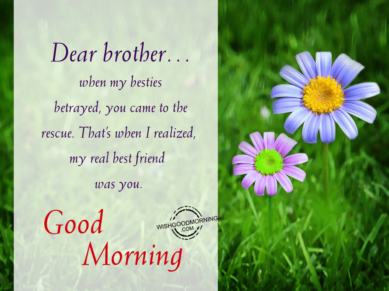 Good Morning Brother Wallpaper - Good Morning My Dear Brother- WallpaperUse