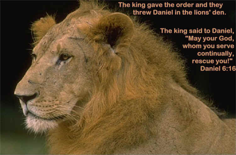 Memory Verse - Daniel And The Lions Den Bible Verse- WallpaperUse