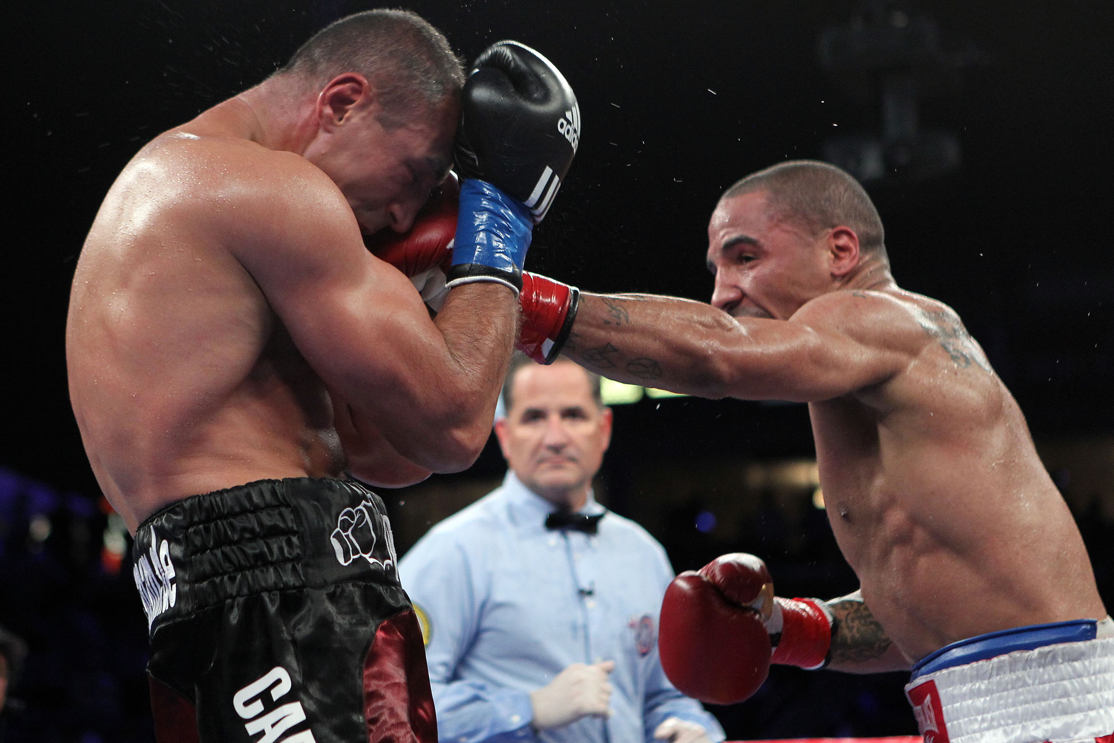 Professional Boxing- WallpaperUse