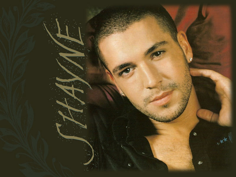 Shayne Ward - Shayne Ward No Promises- WallpaperUse