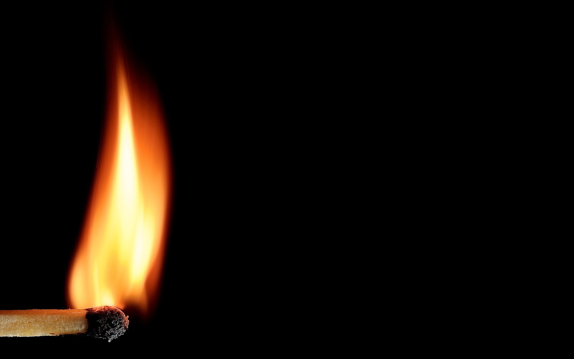 sfondo gratuito,fuoco,fiamma,calore,fuoco di bivacco,incontro (#521442 ...