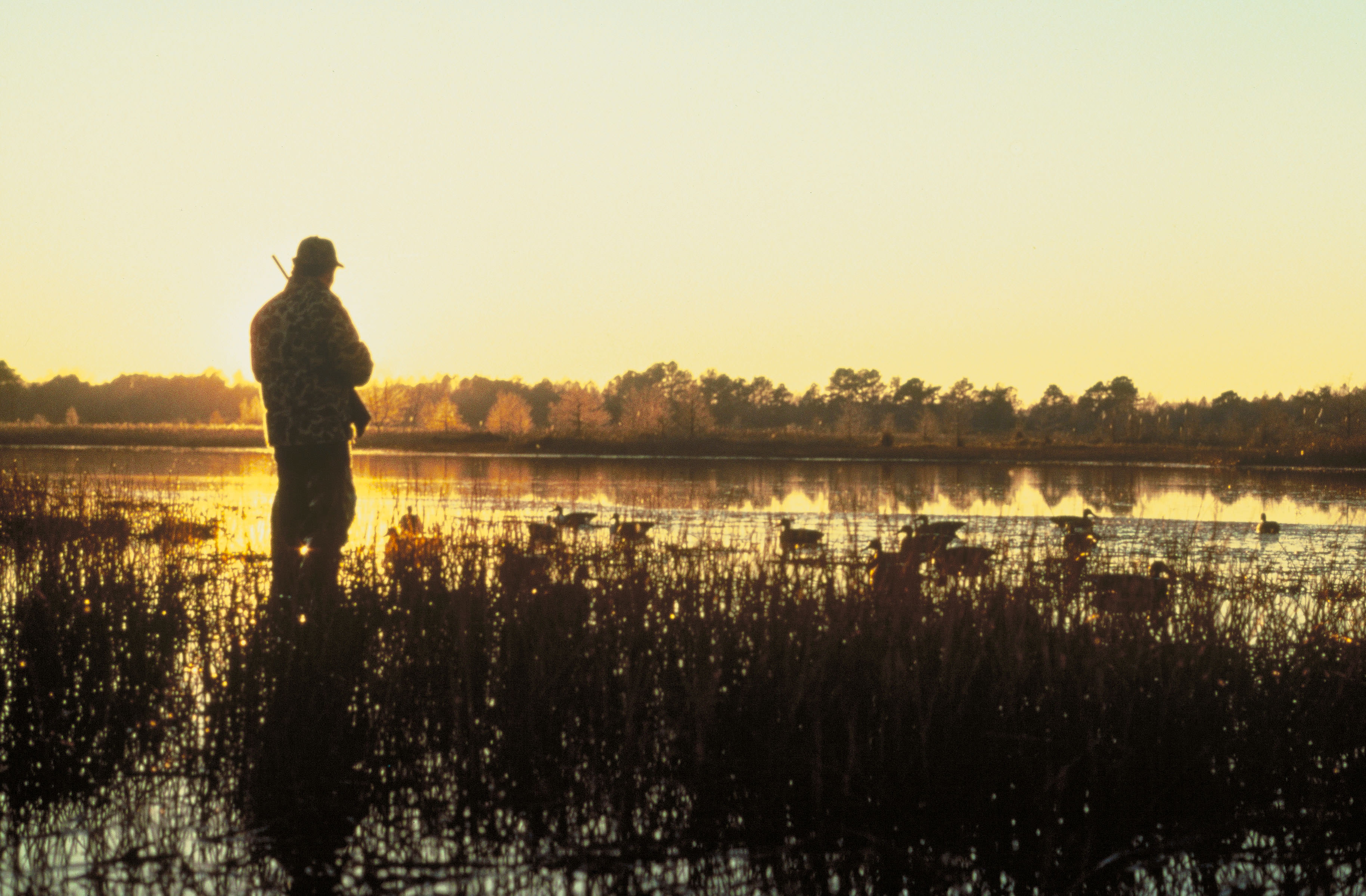 Hunting & Fishing Background- WallpaperUse