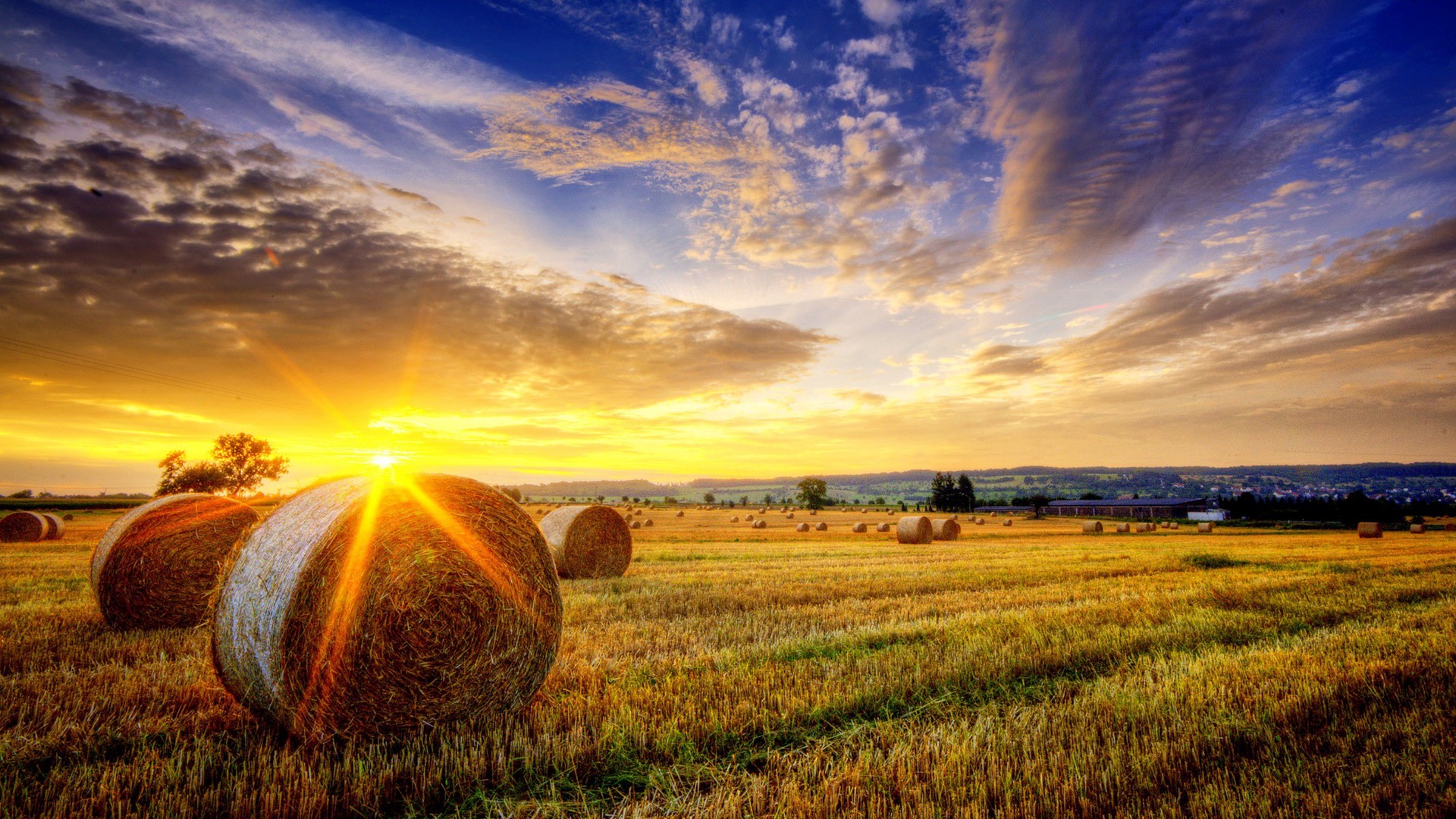 Hay Field Background- WallpaperUse