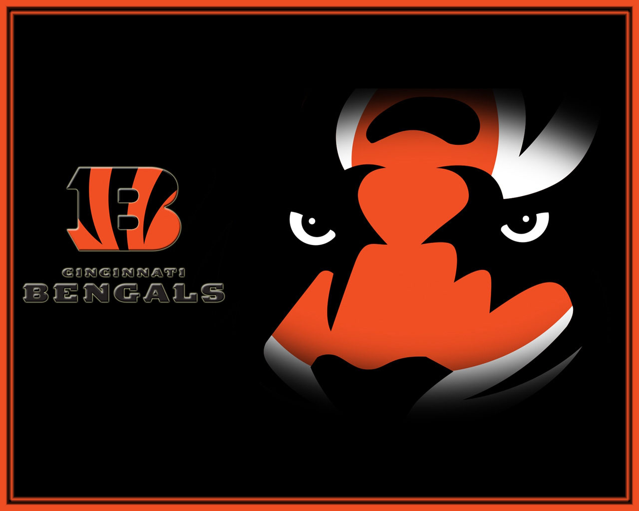 Who Dey - Cincinnati Bengals Alternate Logo- WallpaperUse