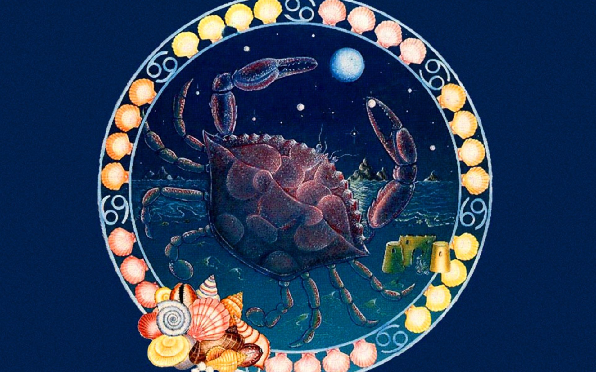 fondo de pantalla del zodiaco del cáncer,tortuga marina,tortuga verde ...