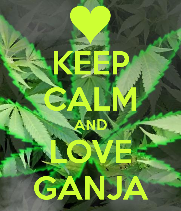 tetu wallpaper,green,leaf,terrestrial plant,plant,hemp family (#530352 ...