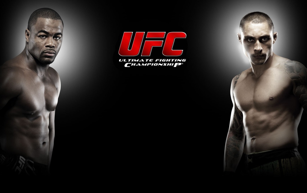 Ufc Fighters Wallpapers - Banner Ufc- WallpaperUse