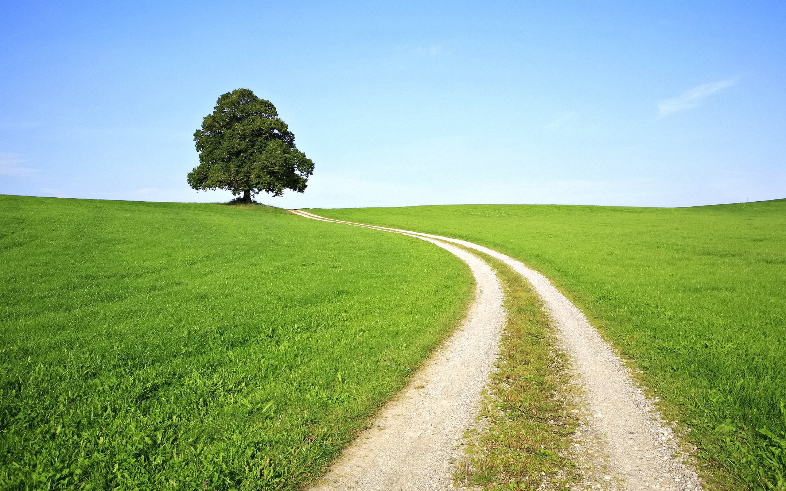 New Path- WallpaperUse