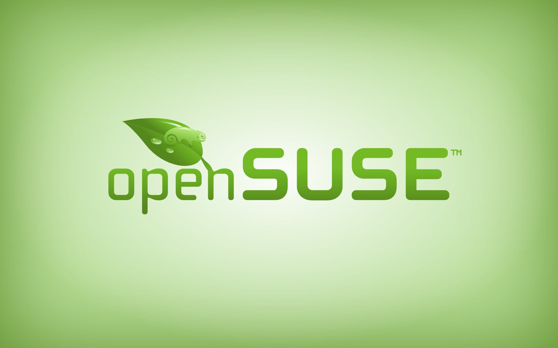 opensuse wallpaper,green,logo,text,font,leaf (#543460) - WallpaperUse