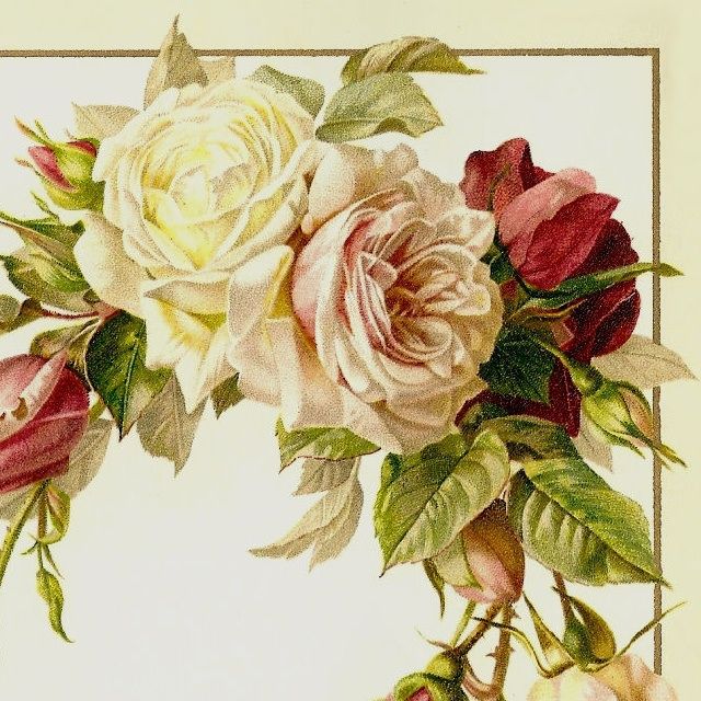 Victorian Era Rose- WallpaperUse