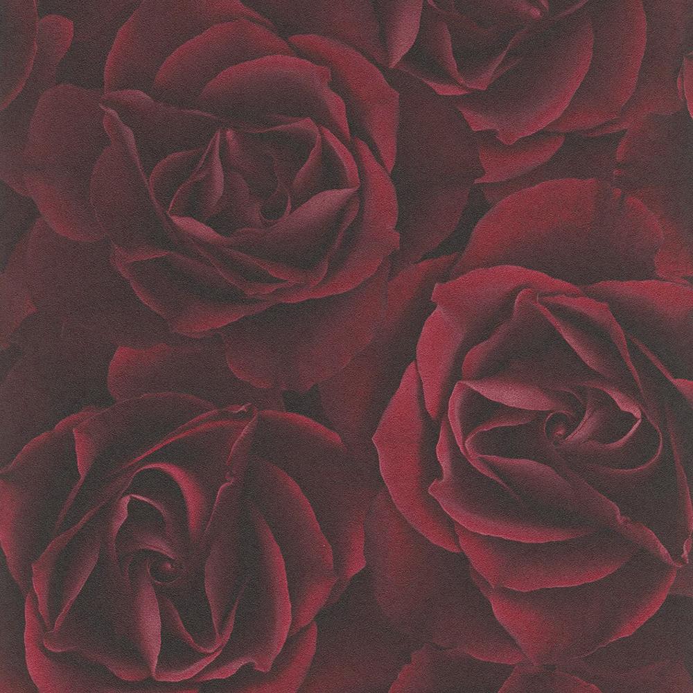 rose pattern wallpaper,garden roses,red,rose,flower,petal (#554620 ...