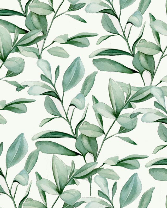 wallpaper gum,leaf,green,pattern,plant,flower (#561413) - WallpaperUse