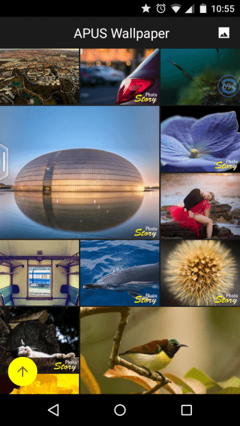 apus wallpapers hd,nature,sky,screenshot,adaptation,organism (#565671 ...