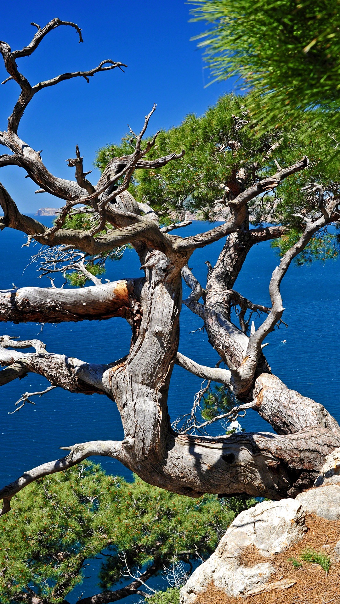 Wallpaper Baik-baik Saja Desktop - ภาพ ธรรมชาติ พื้น หลัง โทรศัพท์ สวย ...