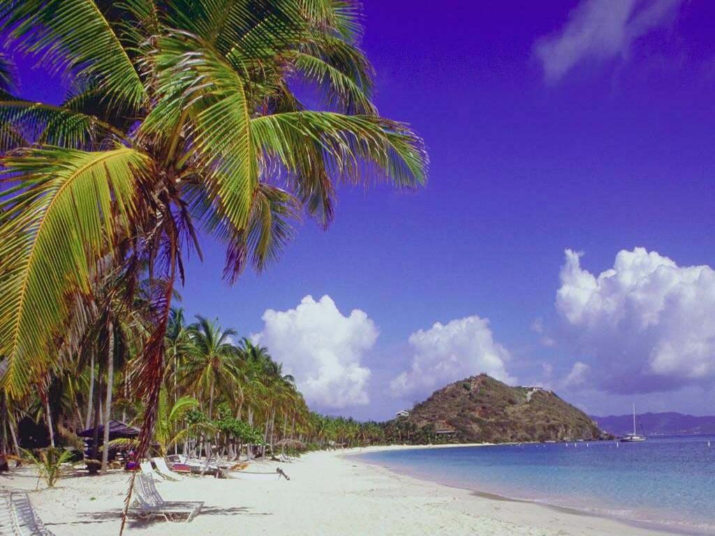 Nature Desktop Wallpaper Free Download For Computer- WallpaperUse