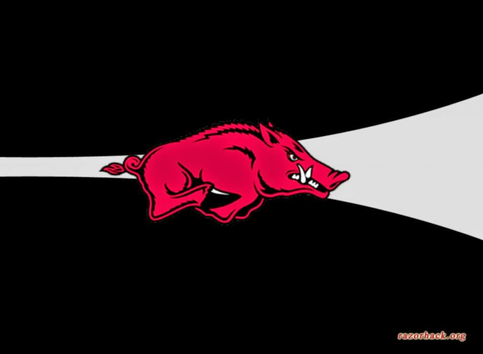 razorback wallpaper,cartoon,animation,logo,marsupial,carmine (#582829 ...