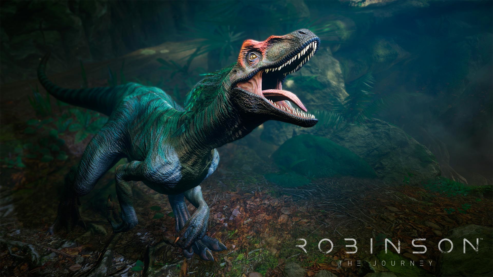 velociraptor wallpaper,dinosaur,tyrannosaurus,velociraptor,extinction ...