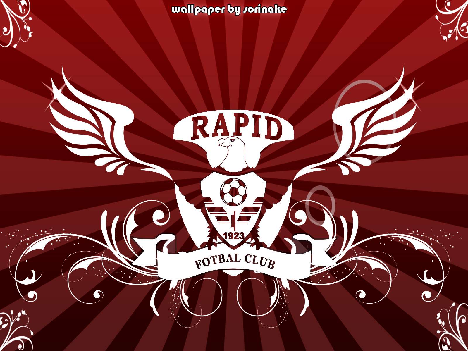Rapid Wallpaper- WallpaperUse
